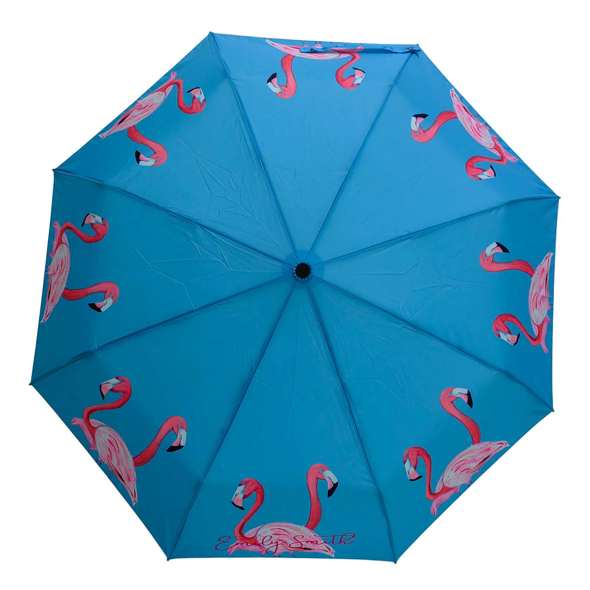 Emily Smith Designs Flossy & Amber Compact Umbrella – Jollybrolly