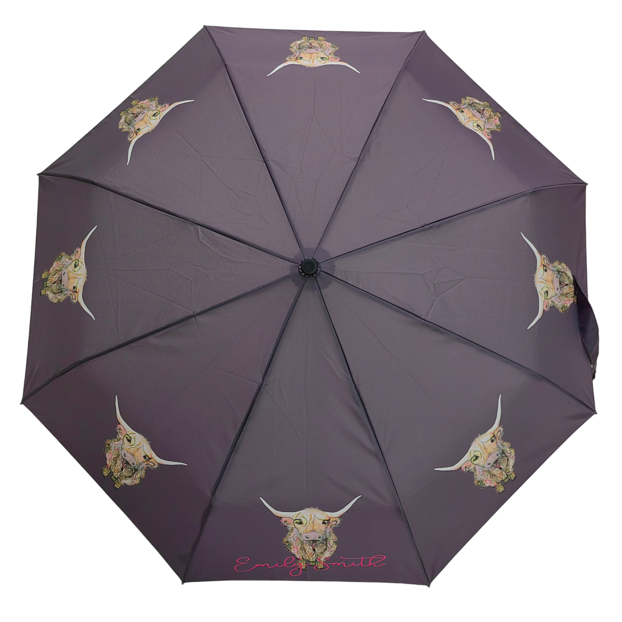 Emily Smith Designs Heidi Compact Umbrella – Jollybrolly