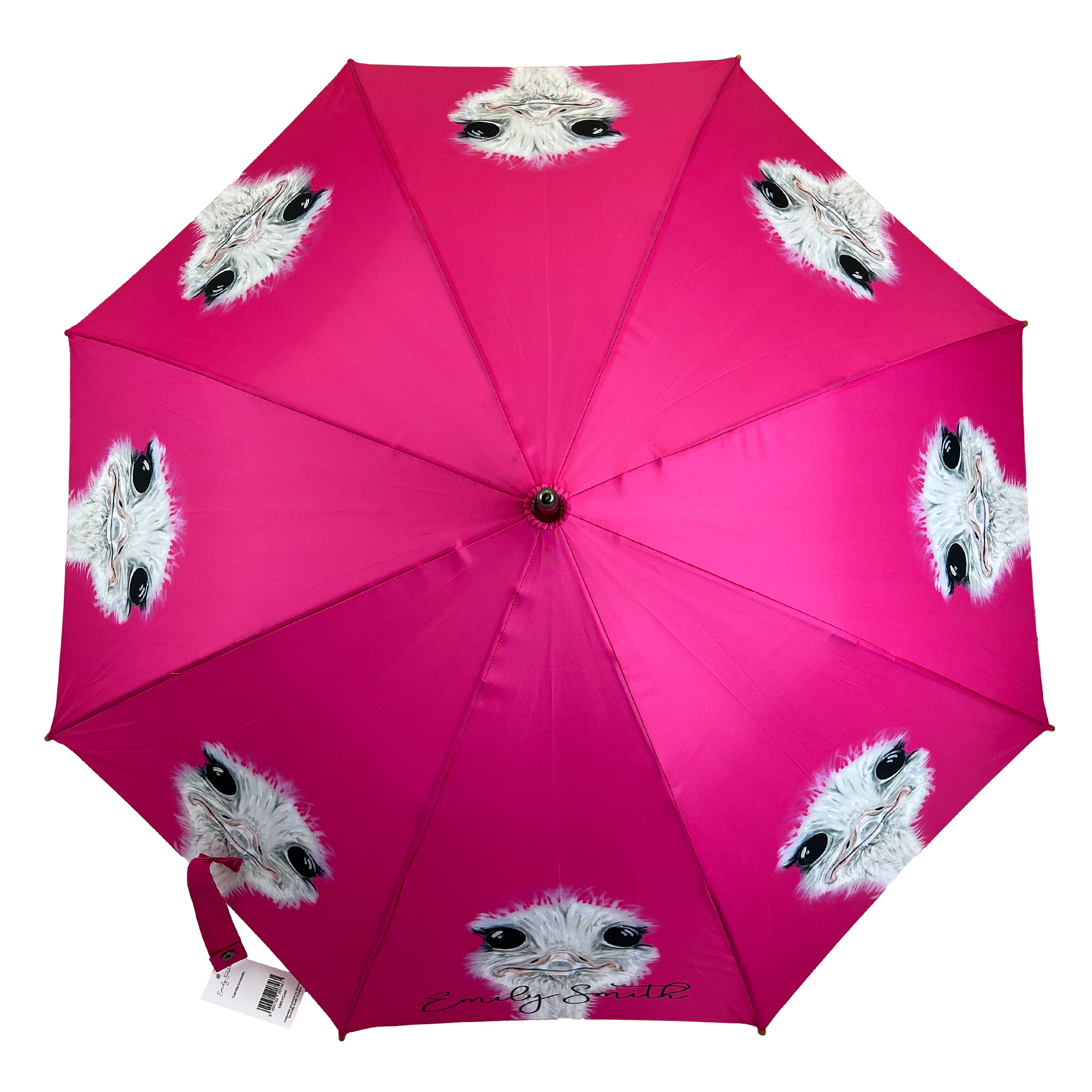 Emily Smith Designs Camilla Umbrella – Jollybrolly
