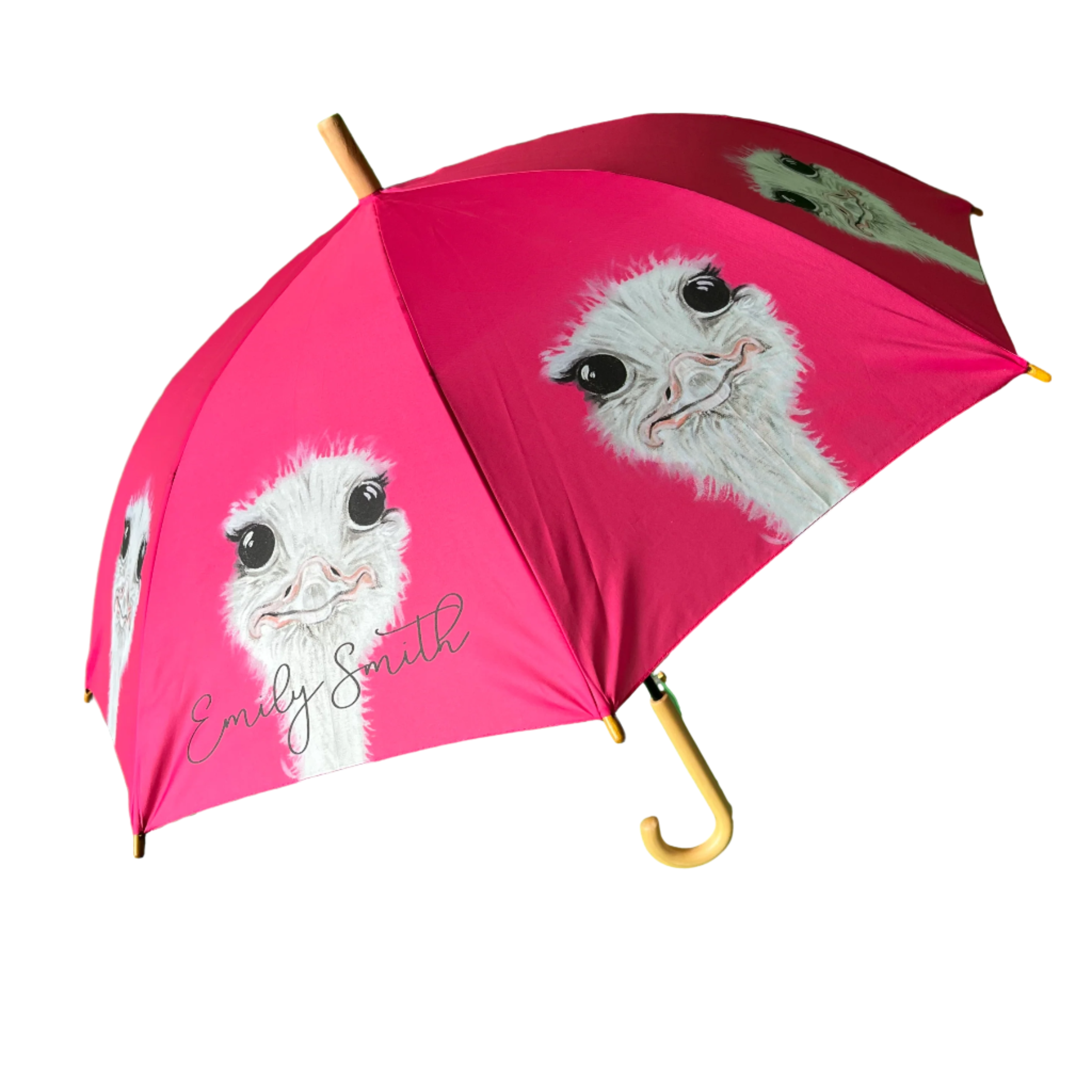 Emily Smith Designs Camilla Umbrella for Kids – Jollybrolly