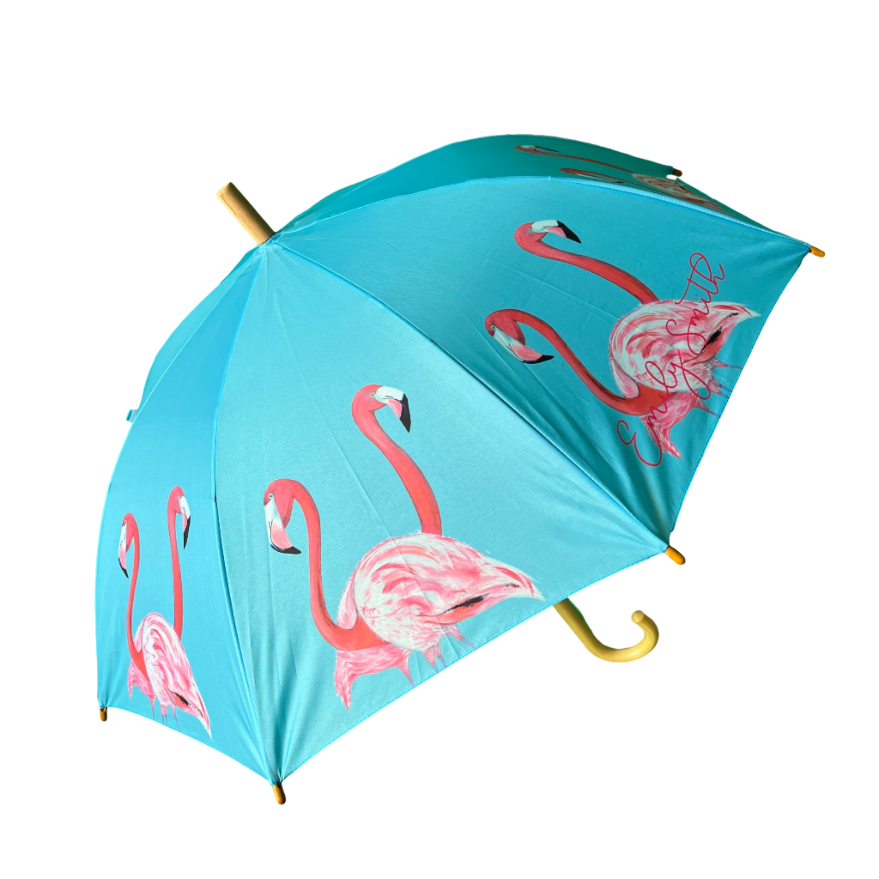 Emily Smith Designs Flossy & Amber Umbrella for Kids – Jollybrolly