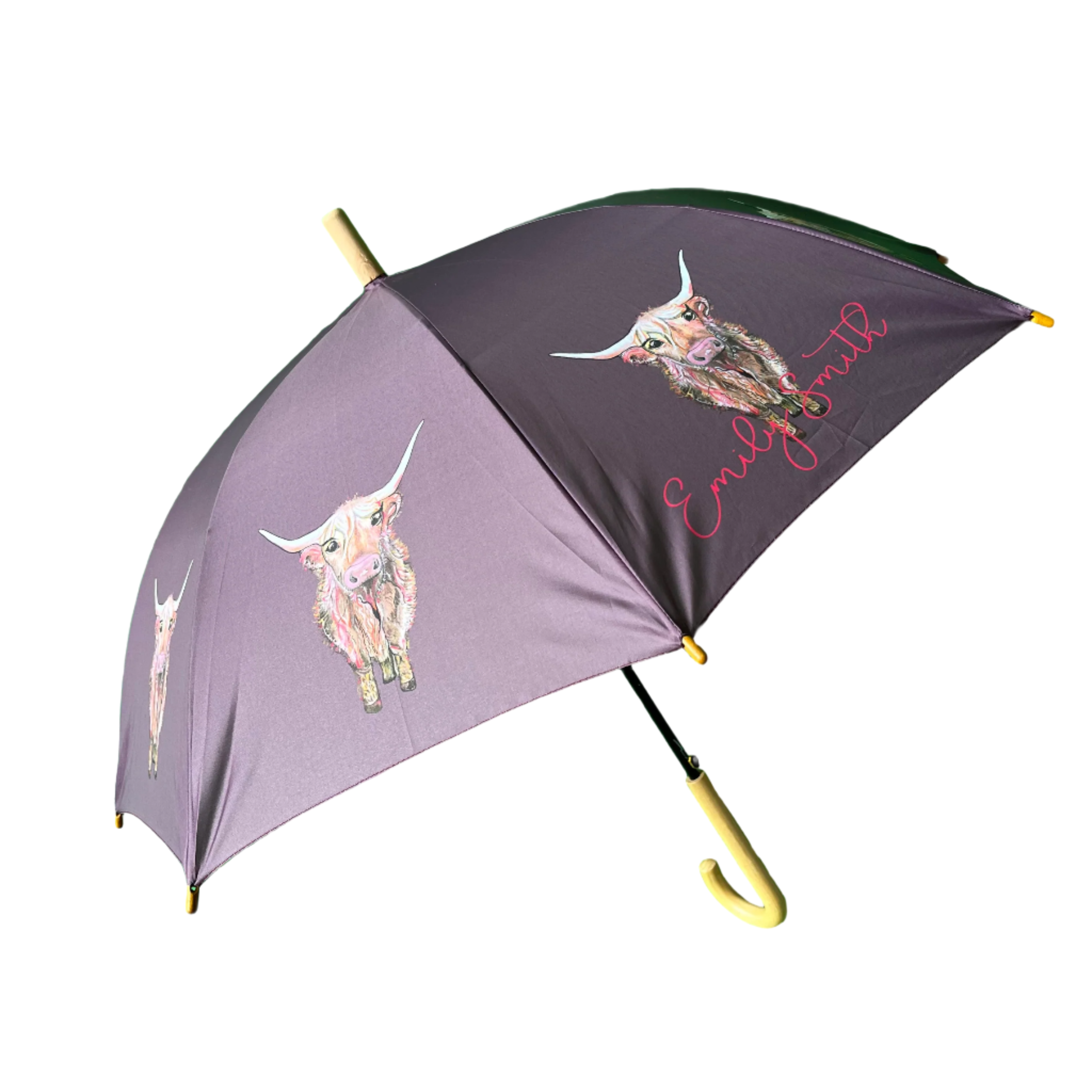 Emily Smith Designs Heidi Umbrella for Kids – Jollybrolly