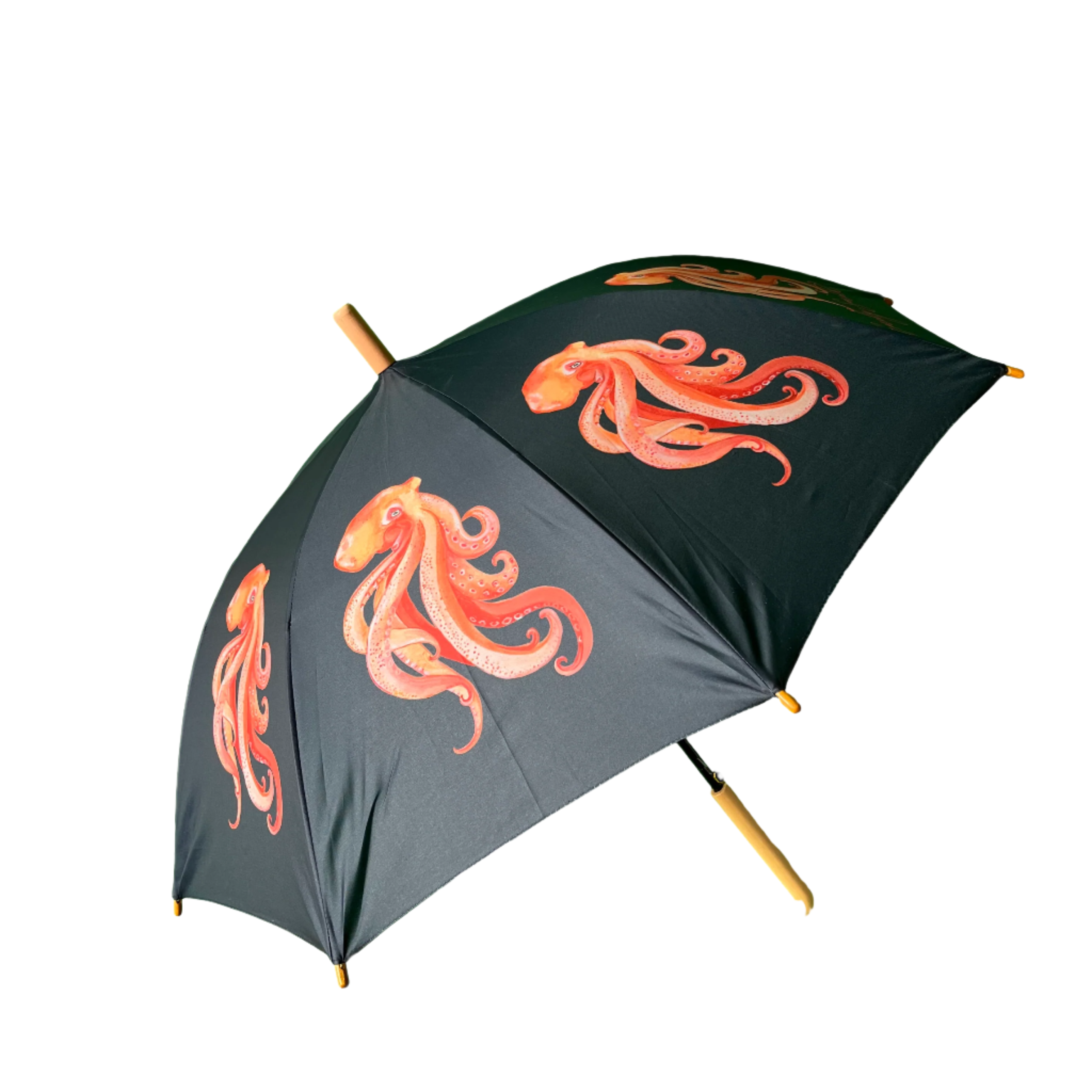 Emily Smith Designs Oscar Umbrella for Kids – Jollybrolly