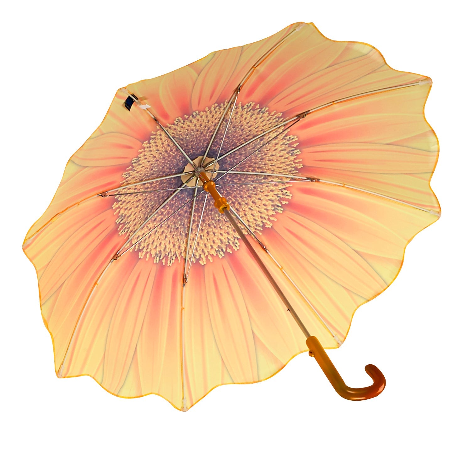 Galleria Kids Sun flower 13008 – Jollybrolly